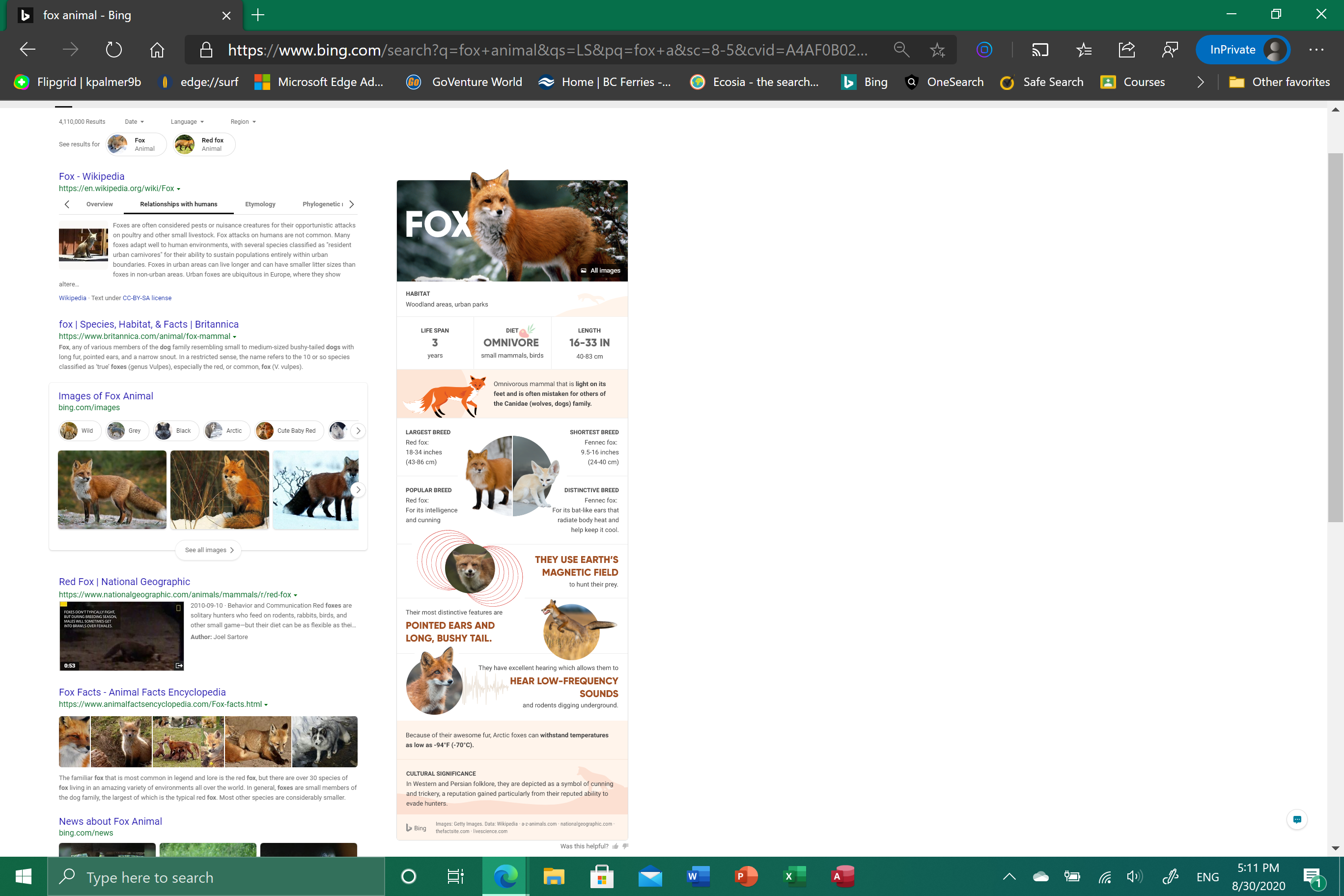 Bing Anaimals | Microsoft Community Hub
